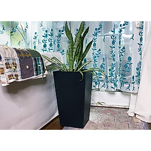 Shineloha 2 Pack Tall Planters + Baskets (Self Watering) (20" H) | Tall Planters for Outdoor & Indoor, Tall Front Porch Planters