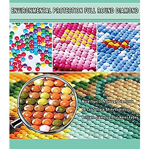 JLHATLSQ Diamond Painting Kits for Adults, Dandelion Butterfly 5D DIY Round Full Drill Diamond Art Craft Canvas Picture Friends Gift as Home Wall Decor, 12x16 inch