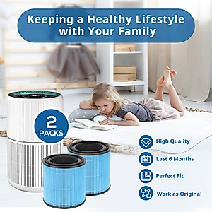 AP0601 Replacement Filters Compatible with AIRTOK Air Puri-fier, 4-in-1 H13 True HEPA Filters, High-Efficiency Activated Carbon Filter, AP0601-RF 2 Pack