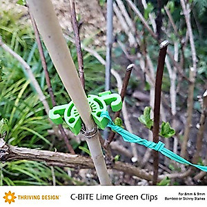 C-BITE Garden Clips Customizable, Reusable, and Strong Connections to Metal or Bamboo Stakes. Create Custom Support Solutions Clips Build Sturdy Tomato Cages, Climbing Vine Trellis (Lime)