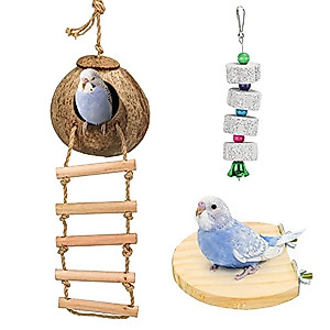 Coconut Bird Nest Coco Bird Hide Shell with Ladder,Parrot Hanging House Cage with Bird Perch Cage Accessories Exercise Toy Habitats for Parrot Parakeet Finch Lovebird and Small Animals (H01)