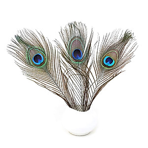 12 PCS Real Natural Peacock Eye Feathers 10-12 inch for DIY Craft, Wedding and Holiday Decorations