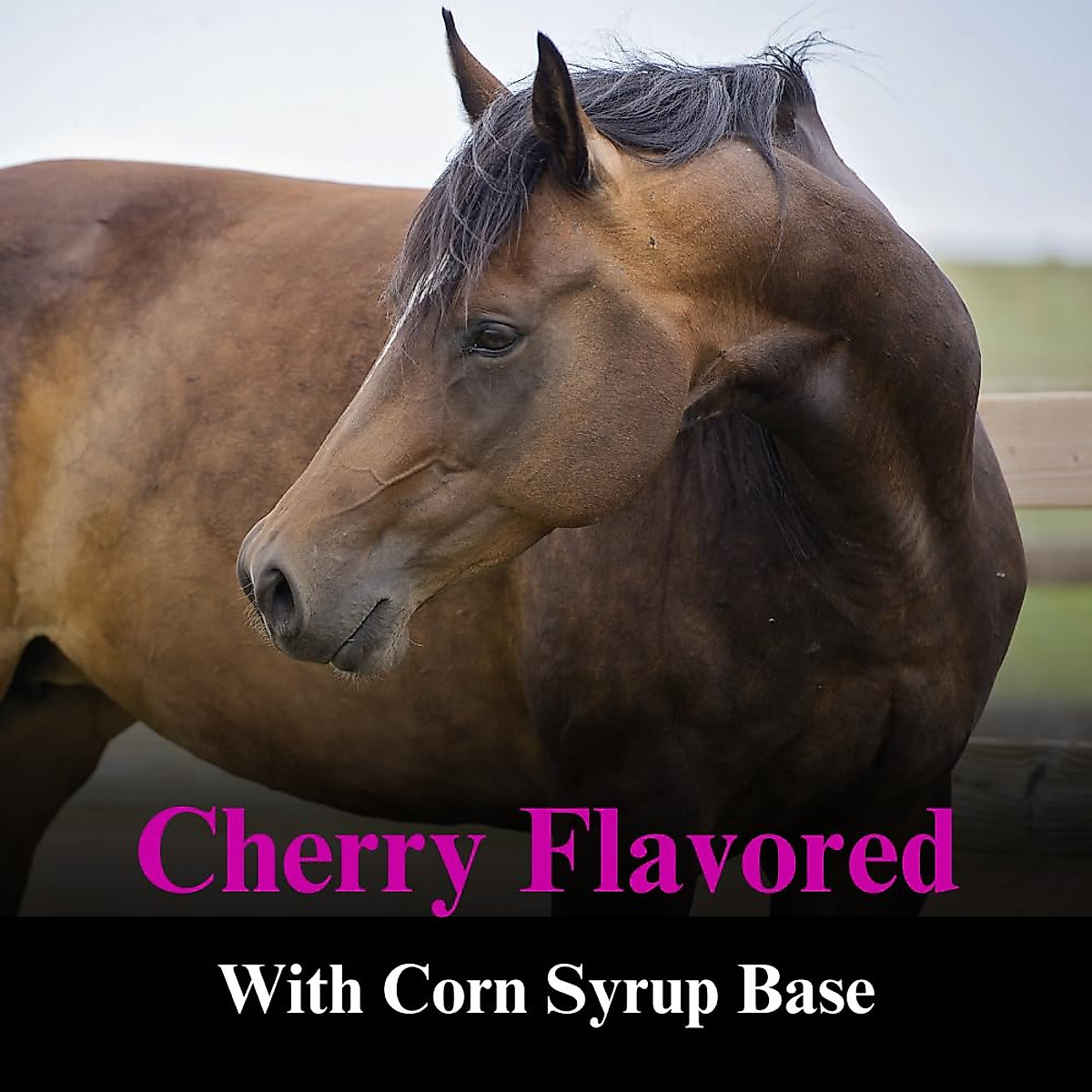 SU-PER Appetite Supplement for Horses - Equine Appetite Booster Liquid Feed Supplement - Vitamin Support for Healthy Appetite - 1 Quart, (2 Pack)