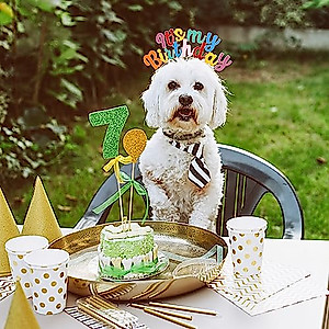 Araluky Happy Birthday Crowns for Women IT'S MY BIRTHDAY Alloy Headband with Its My Birthday Sash and Tiara for Women Rainbow Birthday Headband Tiaras for Women Girls Parties Favors Gift (Rainbow)