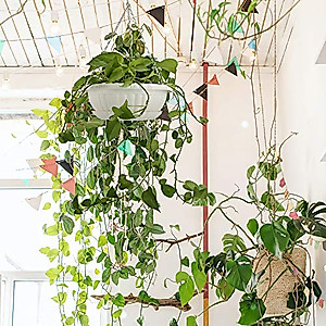 12.59" Large Hanging Planters with Drainage Hole&Tray, Hanging Flower Pots Plastic Plant Hanger Holders Hanging Basket for Indoor Outdoor Home Garden Herb Succulent (Pack 3)