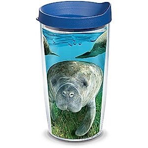 Tervis Manatee Made in USA Double Walled Insulated Tumbler, Clear