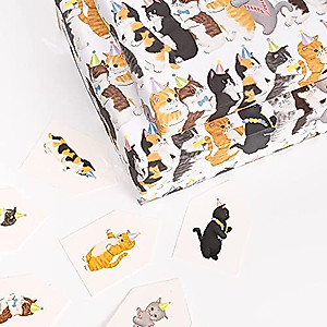CENTRAL 23 - Fun Cat Wrapping Paper - 6 Sheets of Gift Wrap - For Men Women - Cat Conga - For Cat Owners - For Men Women - Recyclable