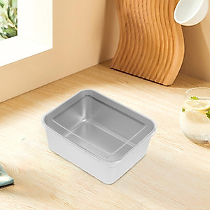 BESTonZON 4pack Stainless Steel Square Boxes, Stainless Steel Food Storage Box Container with Leak Plastic Lid, Food Storage Containers for Fruit Vegetables Snack Food, Dishwasher Safe