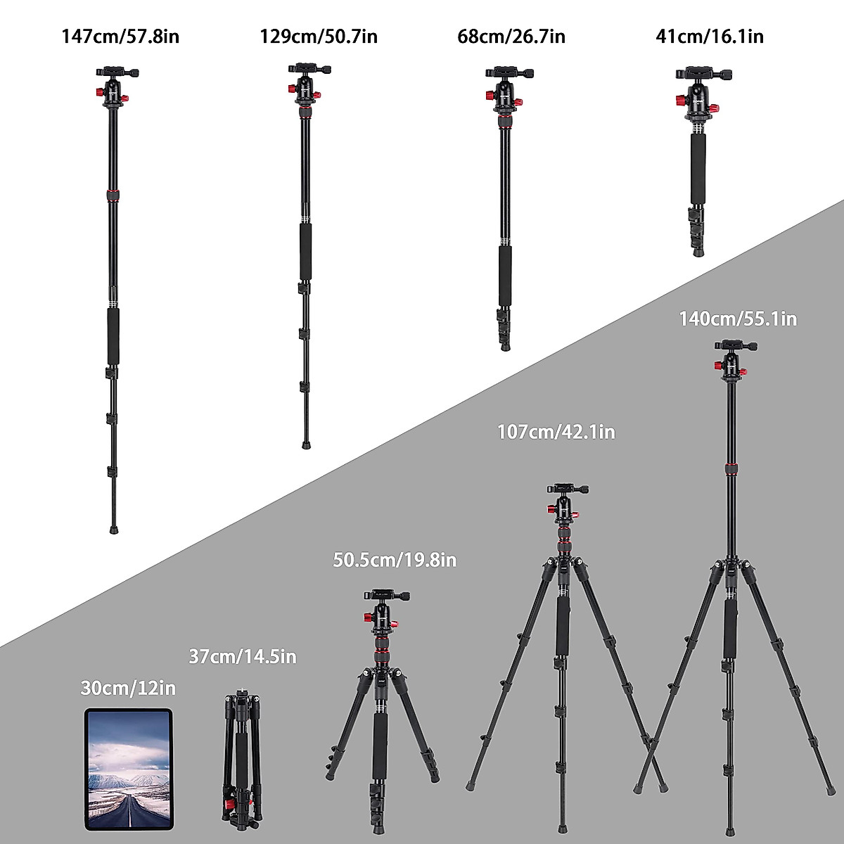 ZOMEI M5 Camera Tripod,Lightweight Travel Aluminum Tripod Monopod Compact Portable Photography Tripod Stand with 360 Degree Ball Head and Phone Clip for DSLR Cameras, Smartphone