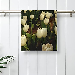 luxteen Bright Cream and Red Colored Tulips Hand Towel - Print Bath Bathroom Towel Highly Absorbent Soft Guest Fingertip Towels