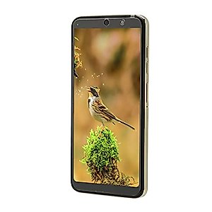 Unlocked Smartphone, I14pro 6.1 Inch Full Screen 5G WiFi Mobile Phone, Face Unlock Cellphone, 4GB RAM 64GB ROM 128GB Expandable, MT6889 10 Core CPU, 7000 Mah Battery