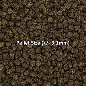 Ocean Nutrition Cichlid Vegi Pellets 7-Ounces (200 Grams) Jar - Medium Pellet Size