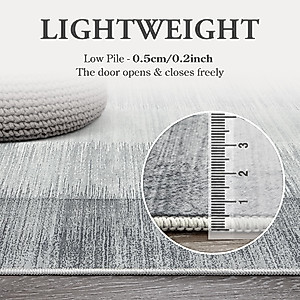 Lahome Modern Ombre 2x4 Throw Rugs, Washable Small Hallway Rug Non Slip Bathroom Mat Ultra-Thin Grey Rug, Abstract Print Door Mat for Entryway Kitchen Laundry Room Entrance (Gray, 2x4)