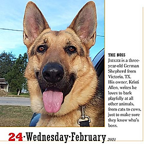 365 Dogs Page-A-Day Calendar 2021