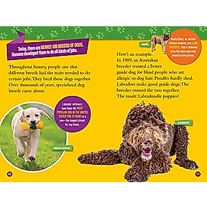 Woof! (National Geographic Kids Readers, Level 3): 100 FUN Facts About Dogs