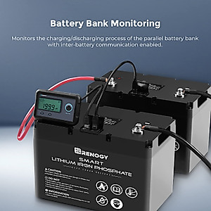 Renogy Monitoring Screen for Smart Lithium Battery Series,Black
