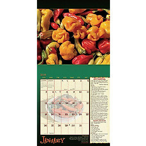 2014 Chile Peppers Wall