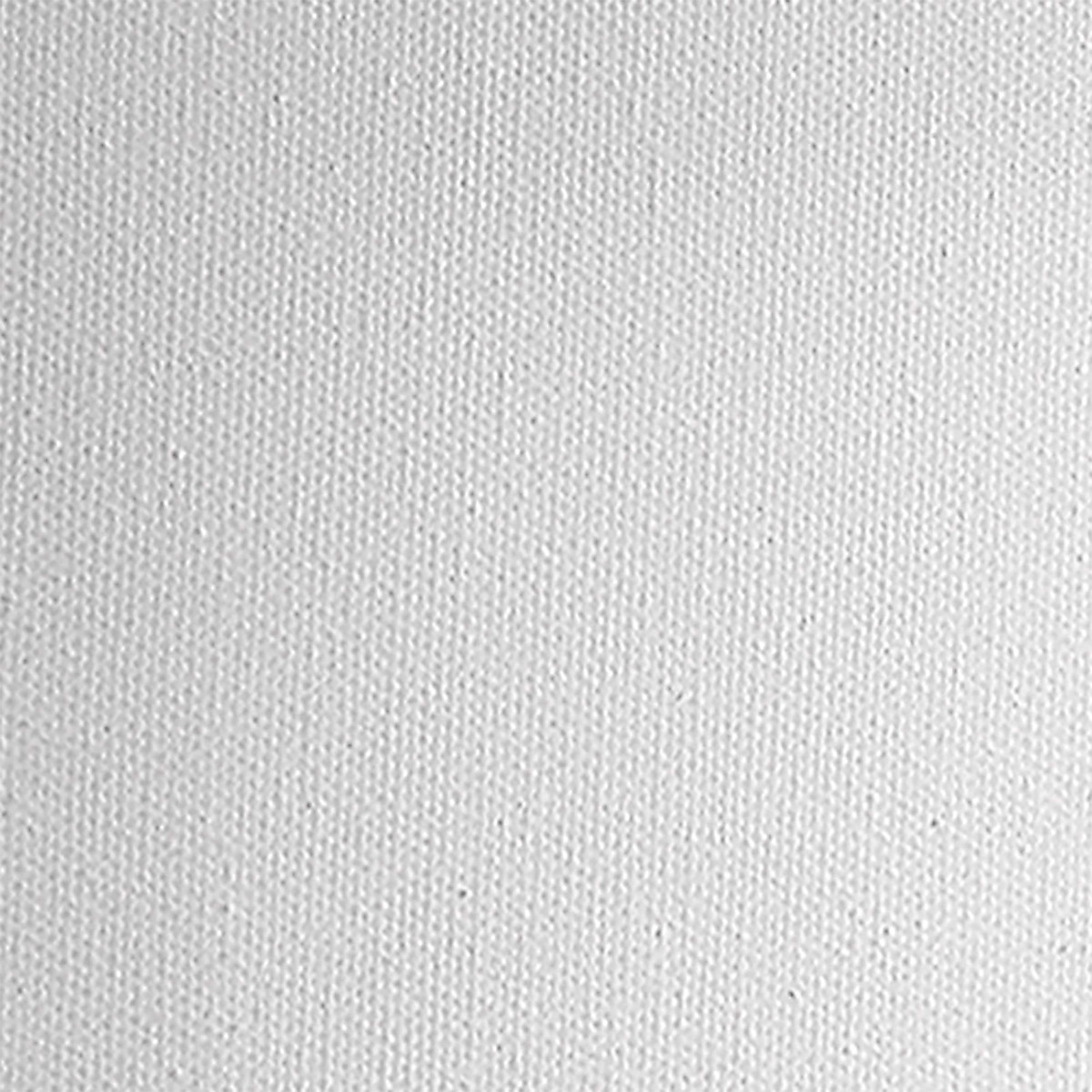 Practica Economy Stretched Cotton Canvas - Acid-Free Acrylic Primed Canvas for Acrylics, Pastels, Graphite, & More! - [2-Pack - 11x14]
