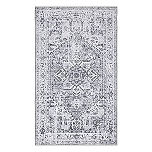 Lbris Washable Area Rug,Non Slip Stain Resistant 3x5 Vintage Grey Area Rug with Rubber Backing, Extra Soft Non Shedding Floor Carpet for Livingroom Bedroom Kitchen,Non Skid Durable Entry Rug