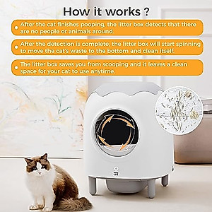 HHOlove Automatic Cat Litter Box, Self Cleaning Box with Remote App Control, Alerts, Odor Suppression, Disassembly for Multiple Cats