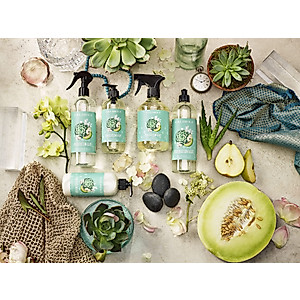 Caldrea Dish Soap, Biodegradable Dishwashing Liquid made with Soap Bark and Aloe Vera, Pear Blossom Agave, 16 oz , 3 Pack