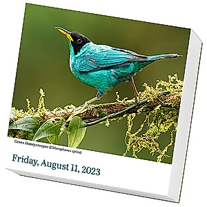 Audubon Birds Page-A-Day Calendar 2023: The World's Favorite Bird Calendar