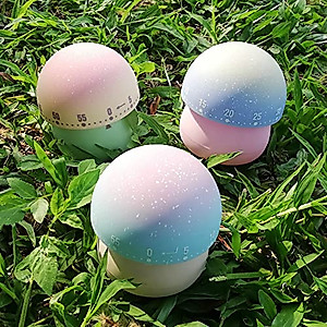 NUOSWEK Mechanical Kitchen Timer, Cute Mushroom Timer for Kids, Wind Up 60 Minutes Manual Countdown Timer for Classroom, Home, Study and Cooking (Green Base)