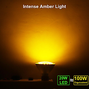 Familite LED Bug Light Bulbs, 1900K Yellow Outdoor PAR30 Flood Lights, Dusk to Dawn Auto On/Off Porch Lights, Waterproof, Replace up to 100W for Garage Hallway Yard Porch, 2 Pack (1900K Amber)