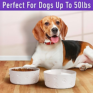 Ceramic Dog Bowl Set of 2 with Anti-Skid Base - 6.5" Wide x 2.5" Tall Ceramic Dog Bowls Medium Sized Dogs - 3 Cup Capacity Food and Water Bowls for Dogs - Rubber Bottom Pet Bowl Set of 2 Medium Size