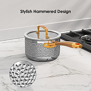 Homaz life 2-Quart Saucepan with Tempered Glass Lid, Tri-Ply Stainless Steel Cookware, Induction Ready, Compatible with All Cooktops, Dishwasher Safe, Non-Toxic, Gold-Colored Stay-Cool Handle