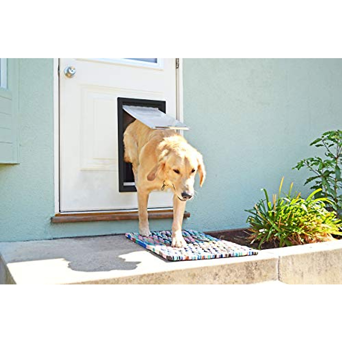 Endura Flap Single Flap Pet Door for Doors | All-Weather Insulated Flap | Durable Aluminum Frame with Secure Locking Cover | Interior and Exterior Door Installations | Black, Large, Single Flap