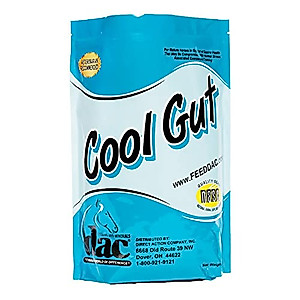 DAC Cool Gut 5 lb Mature Horse Supports Gastric Stomach pH Health Bowel Layers Supplement