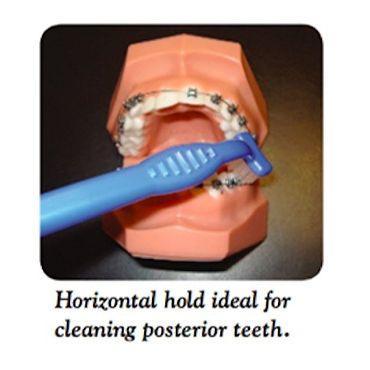 Curvex II Toothbrush