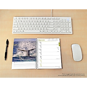 The 7 Habits of Highly Effective People 2019 Calendar