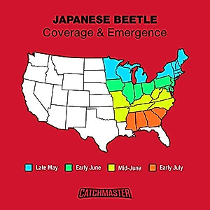 Japanese Beetle Bag Trap by Catchmaster - 3 Pack, Ready to Use Outdoors. Insect Bug Pest Plant Protection Dual Pheromone Food Lure System Season Disposable Easy Maximum Coverage Secure