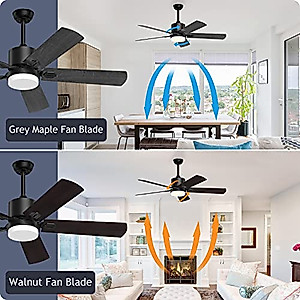 Biukis Ceiling Fans with Lights and Remote, 52 Inch Outdoor Ceiling Fan with Remote, Modern Black Fan with Lights for Patio Farmhouse Bedroom