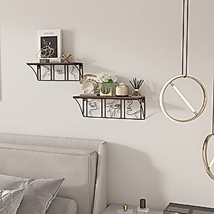 QUTREY Metal Wall Art Floating Shelves Set of 2, Minimalist Abstract Wire Portrait Line Decor Rustic Shelf for Bedroom, Living Room, Bathroom