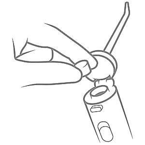 Weltab WT Water Flosser Tablets Compatible with Waterpik Whitening Water Flosser 100 Count (Peppermint)