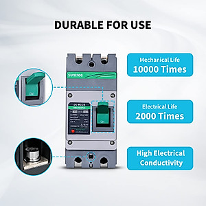 Renogy Suntree 160 Amp 2-Pole DC Circuit Breaker for Off-Grid Solar System, Molded Case