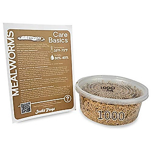 Josh's Frogs Mealworms (1000 Count)