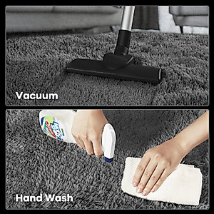 Zentavio Grey Area Rug for Living Room Bedroom 4x6 Soft Fluffy Fuzzy Furry Shaggy Aesthetic Carpet Plush High Pile Floor Throw Rug for Nursery Kids Room Dorm Room