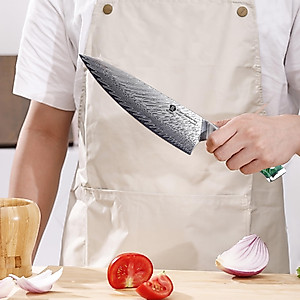 WILDMOK Chef Knife, 8 inch Damascus Japanese Kitchen Cooking Knife,Japanese VG10 Steel Green Resin Handle kitchen knives,Damascus chef's knives Including Gift Box