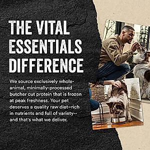 Vital Essentials Freeze Dried Dog Treats, Raw Chicken Hearts Treats for Dogs