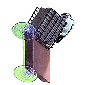 Songbird Essentials Suet Window Feeder