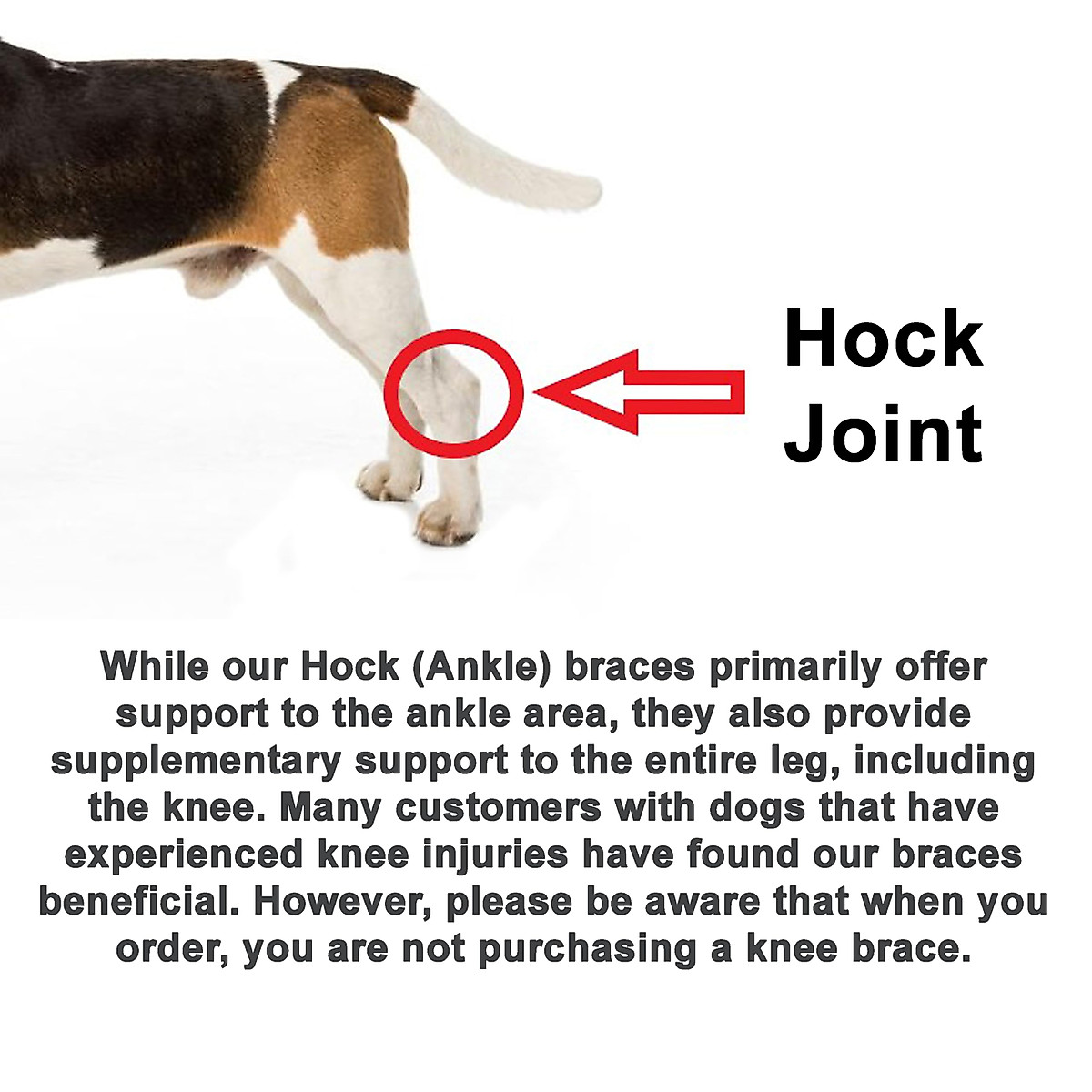 Premium Canine Hock Joint Dog Leg Brace. Rear leg braces for dogs help in Recovery, Injury Protection, Compression Wrap, Loss of Stability Caused by Arthritis. Effective post surgery for dogs rear leg