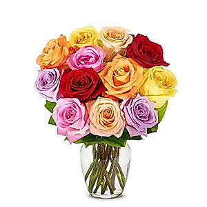 From You Flowers - One Dozen Rainbow Roses with Free Vase (Fresh Flowers)