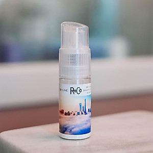 R+Co Skyline Dry Shampoo Powder | Intense Oil Absorption | Revives Volume, Hair Texture and Grip | TSA Approved Travel Size | 1 Fl Oz