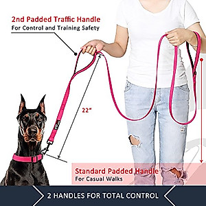 Pioneer Petcore™ Dog Leash 6ft long,Traffic Padded Two Handle,Heavy Duty,Reflective Double Handles Lead for Control Safety Training,Leashes for Large Dogs or Medium Dogs,Dual Handles Leads(Pink)
