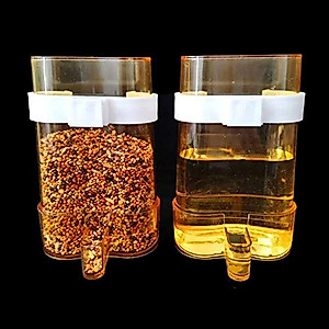 Parakeet Water Dispenser, Automatic Water Drink No Spill Clear Container Cockatiel Cage Accessories Automatic Feeding for Budgies,Finch and Other Bird 2pcs