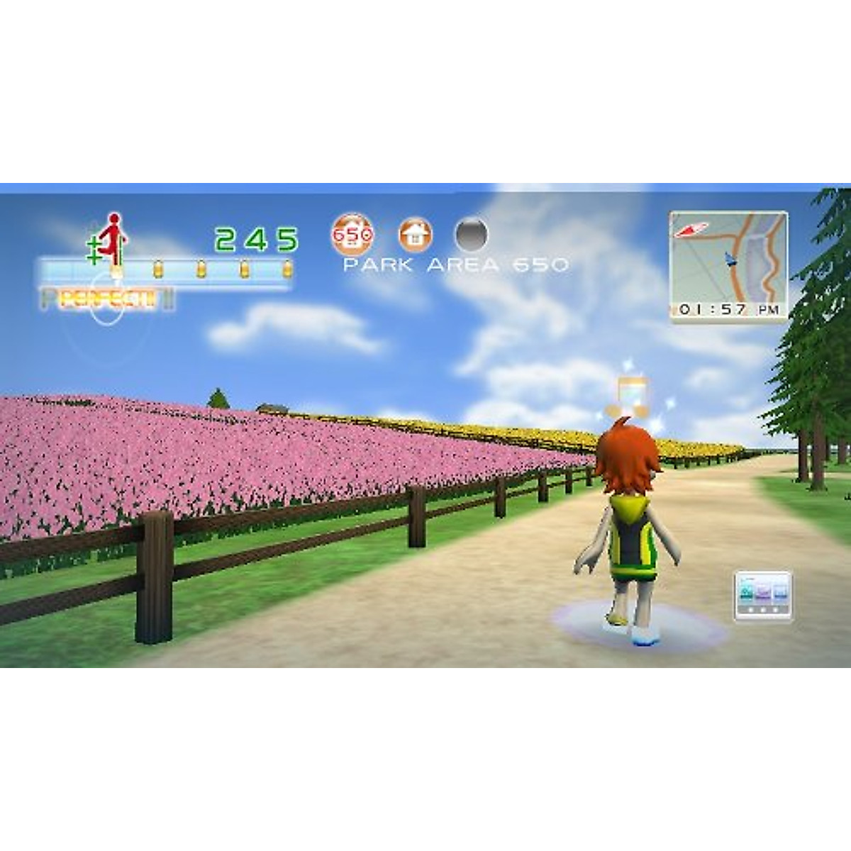 Walk It Out - Nintendo Wii